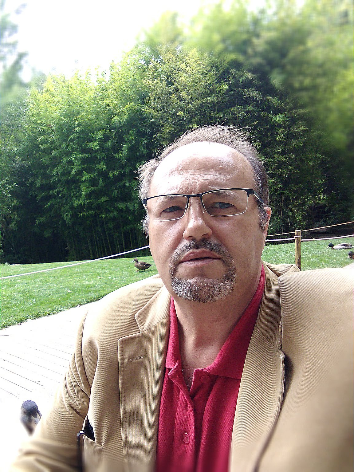 Luis Rebelo - LIVRE